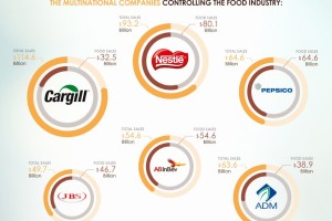 Multinational Companies Control The Food Industry! - İnsamer - İnsamer