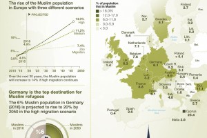 The Rise of the Muslim Population in Europe - İnsamer - İnsamer