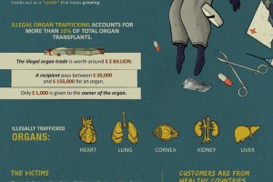 The Victims of Organ Trafficking are Poor Territories - İnsamer - İnsamer